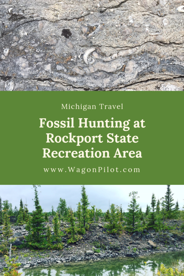 Fossil Hunting at Rockport Michigan State Recreation Area