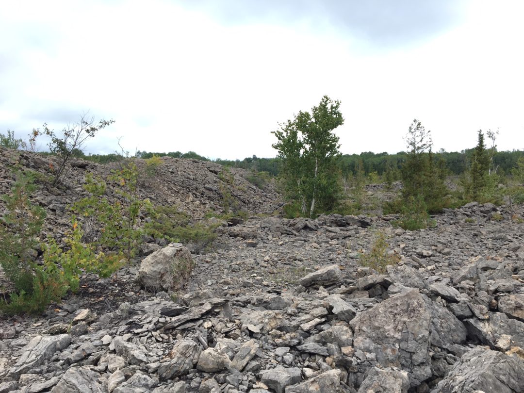 Fossil Hunting at Rockport Michigan State Recreation Area