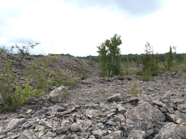 Fossil Hunting at Rockport Michigan State Recreation Area