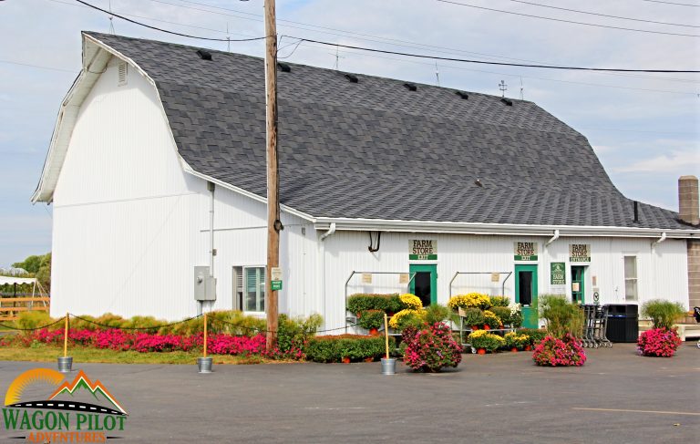 Tuttle Orchards has Evolved into a True Year Round Farm Serving the ...