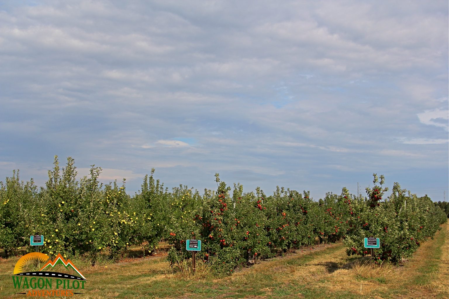 Tuttle Orchards has Evolved into a True Year Round Farm Serving the ...