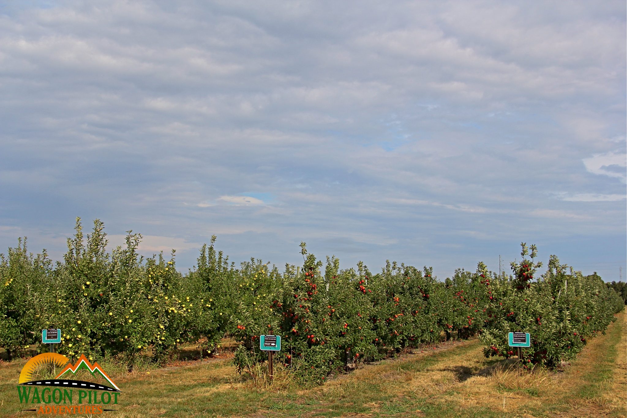 Tuttle Orchards has Evolved into a True Year Round Farm Serving the ...
